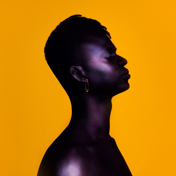 Wayne Snow's Album Precursor Nina Is A Potent And Heady Ode To Joy