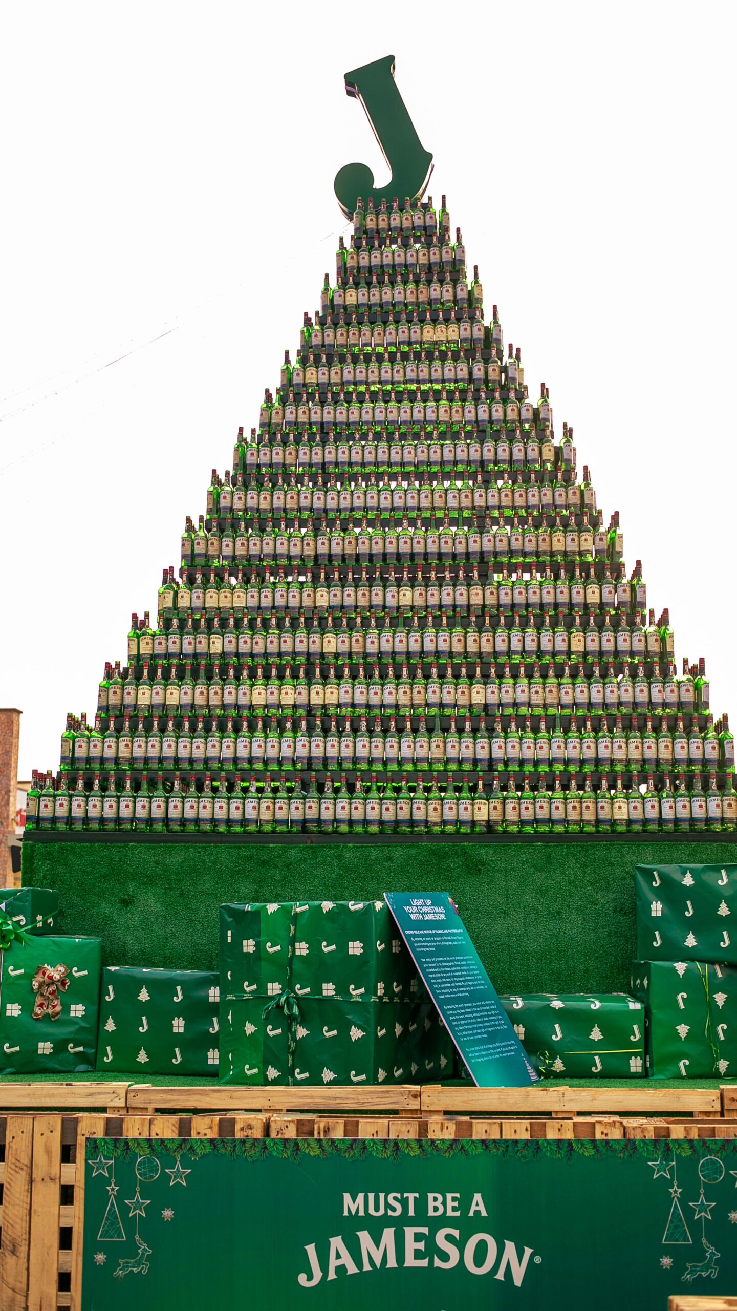 Gather 'Round the Iconic Jameson Tree